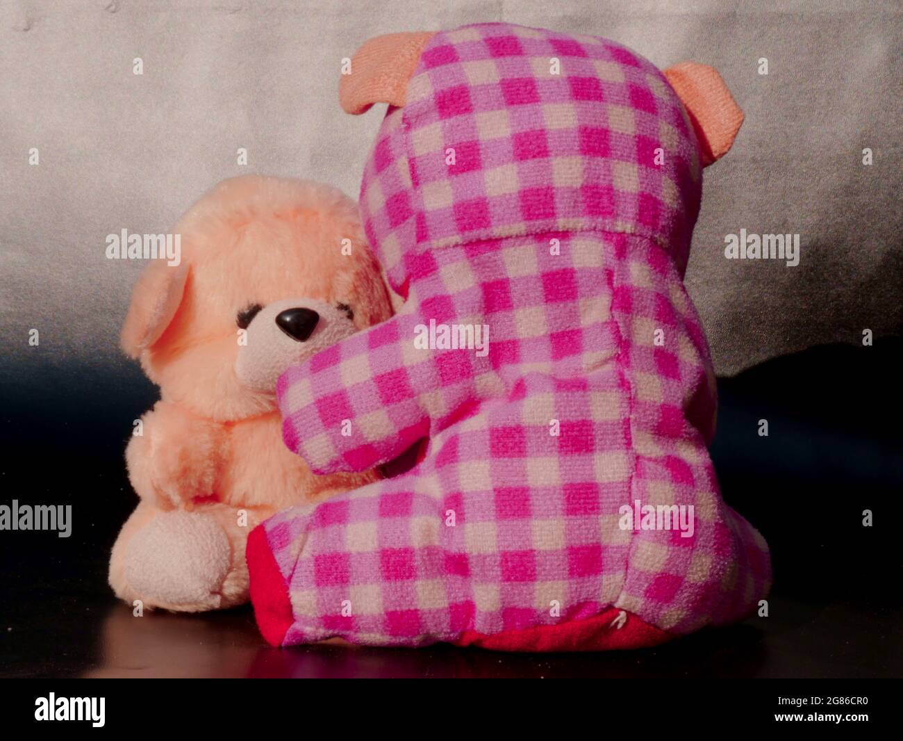 Little cute soft toy puppy hug from teddy bear at shiny backdrop Stock ...