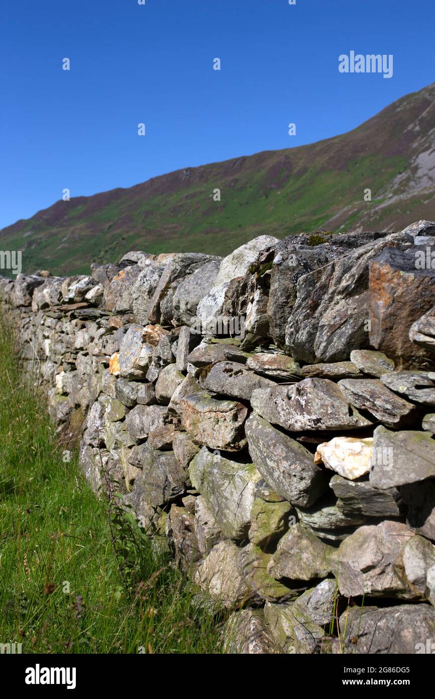 Traditional sry stone wall on farmland in the Welsh mountains. On a ...