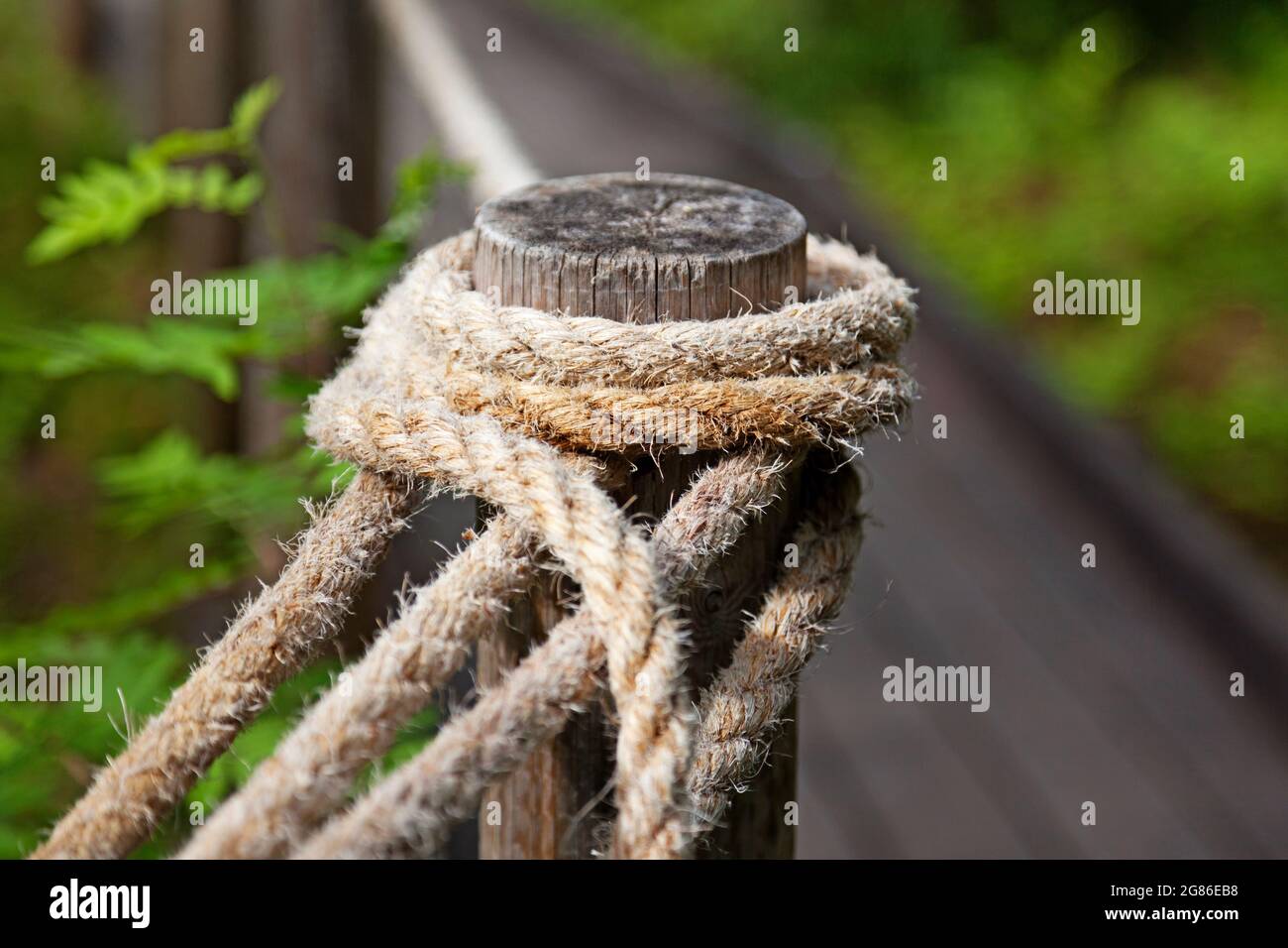 rope wrapped around wooden stick as railing at footpath in the forest ...