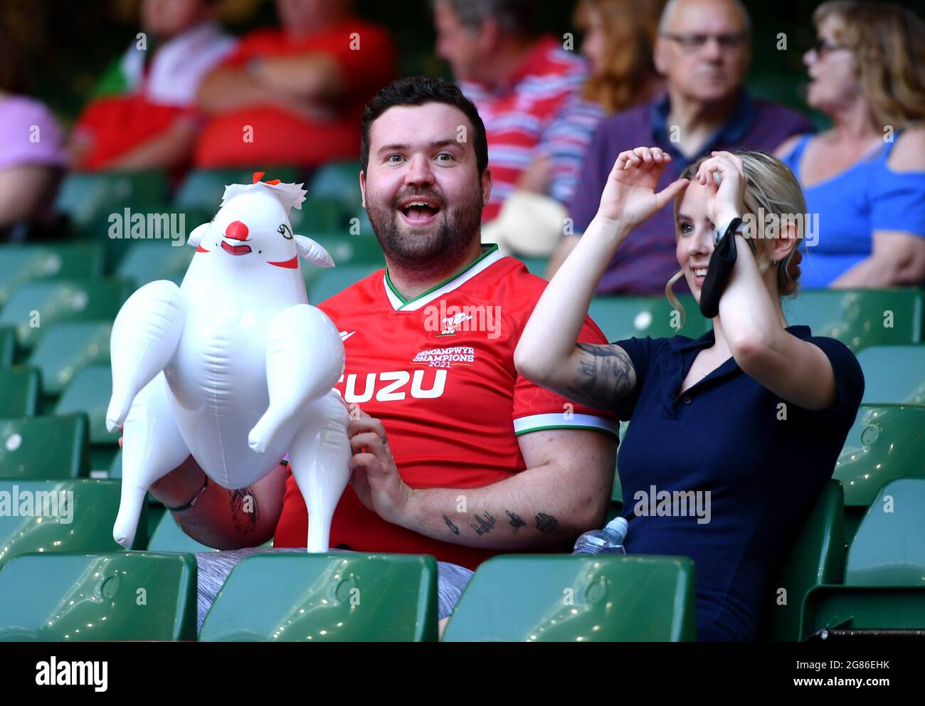 A Wales fan with an inflatable sheep before the Summer Series match at ...