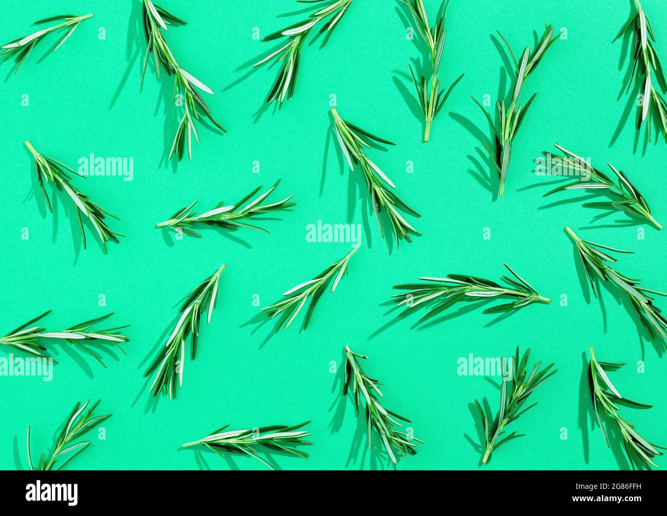 Colorful rosemary pattern on green background, from above, hard shadow ...