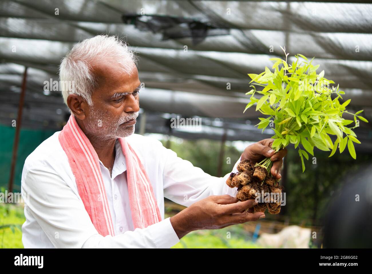 Poly house hi-res stock photography and images - Alamy