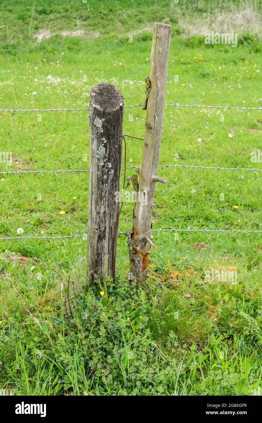 Two poles hi-res stock photography and images - Alamy