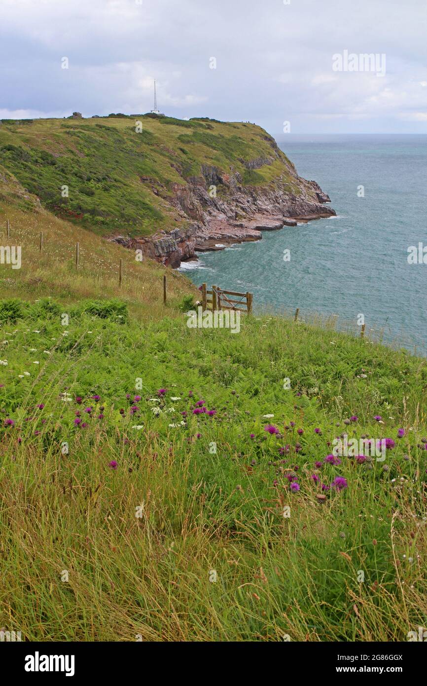 Berry Head lighthouse and nature reserve, Paignton, Devon Stock Photo ...