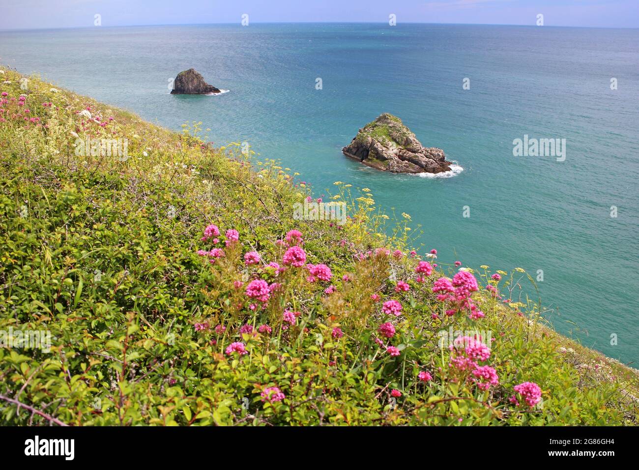 Berry Head nature reserve, Paignton, Devon Stock Photo - Alamy