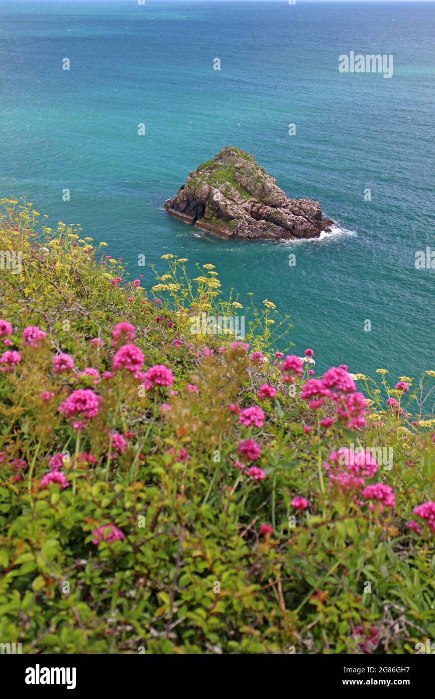 Berry Head nature reserve, Paignton, Devon Stock Photo - Alamy