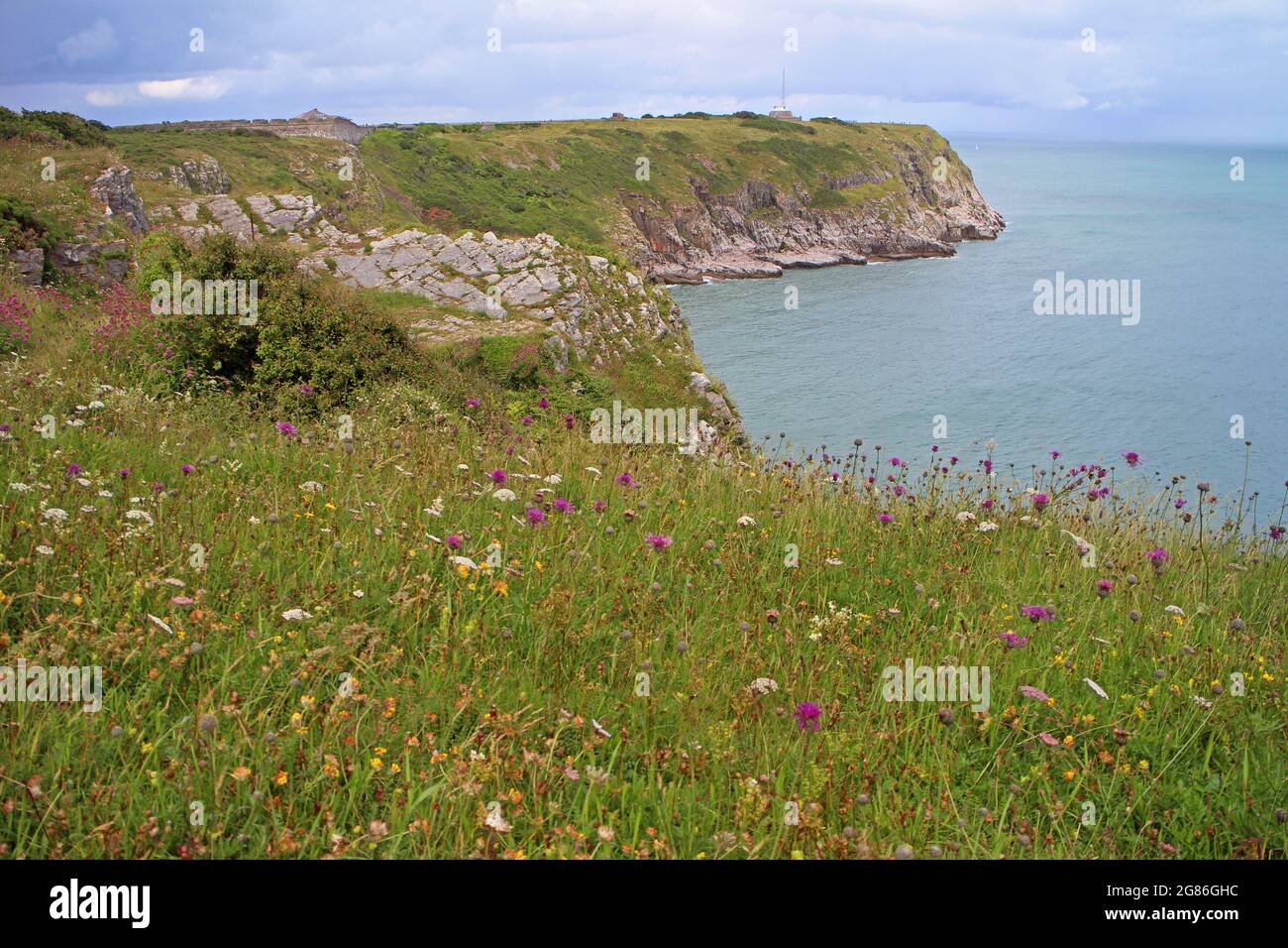 Berry Head lighthouse and nature reserve, Paignton, Devon Stock Photo ...