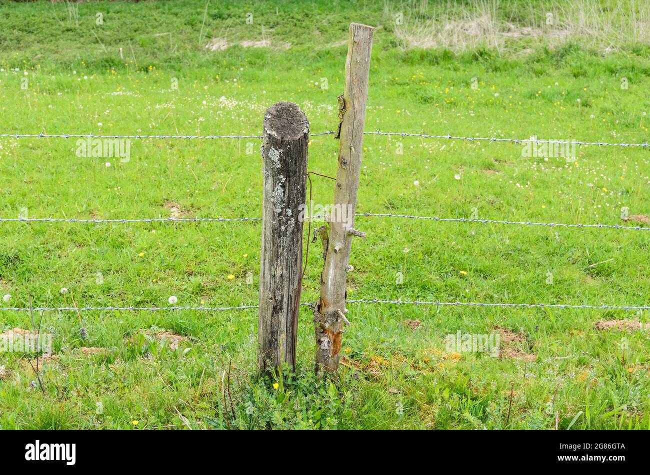 Two poles hi-res stock photography and images - Alamy