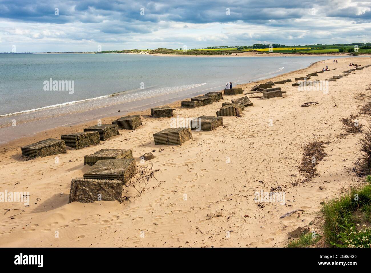 Partially buried concrete World War two anti-tank barricades remain in ...