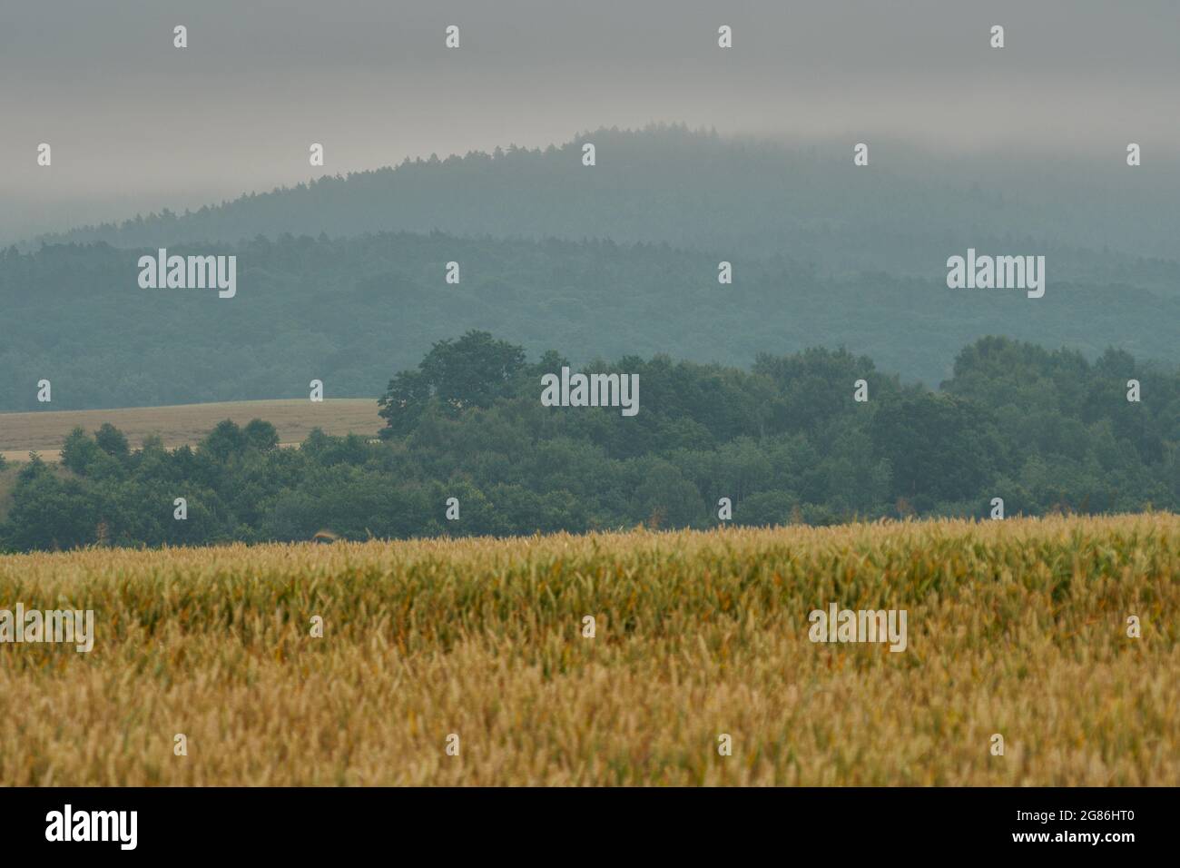 Lower Silesian summer cloudy landscape Lower Silesia Poland Stock Photo ...