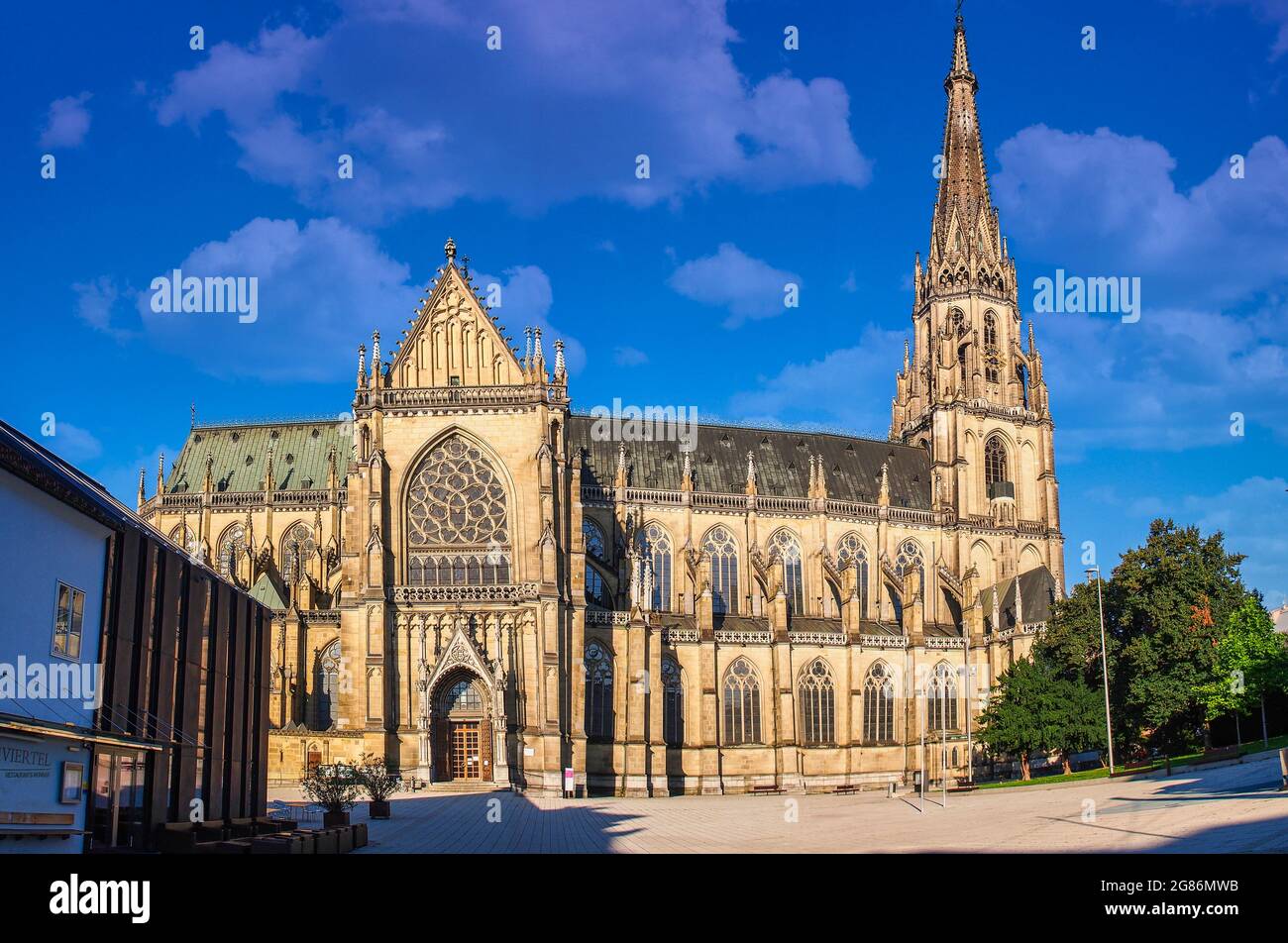 New Cathedral or Cathedral of the Immaculate Conception or St. Mary Church is a Roman Catholic ...