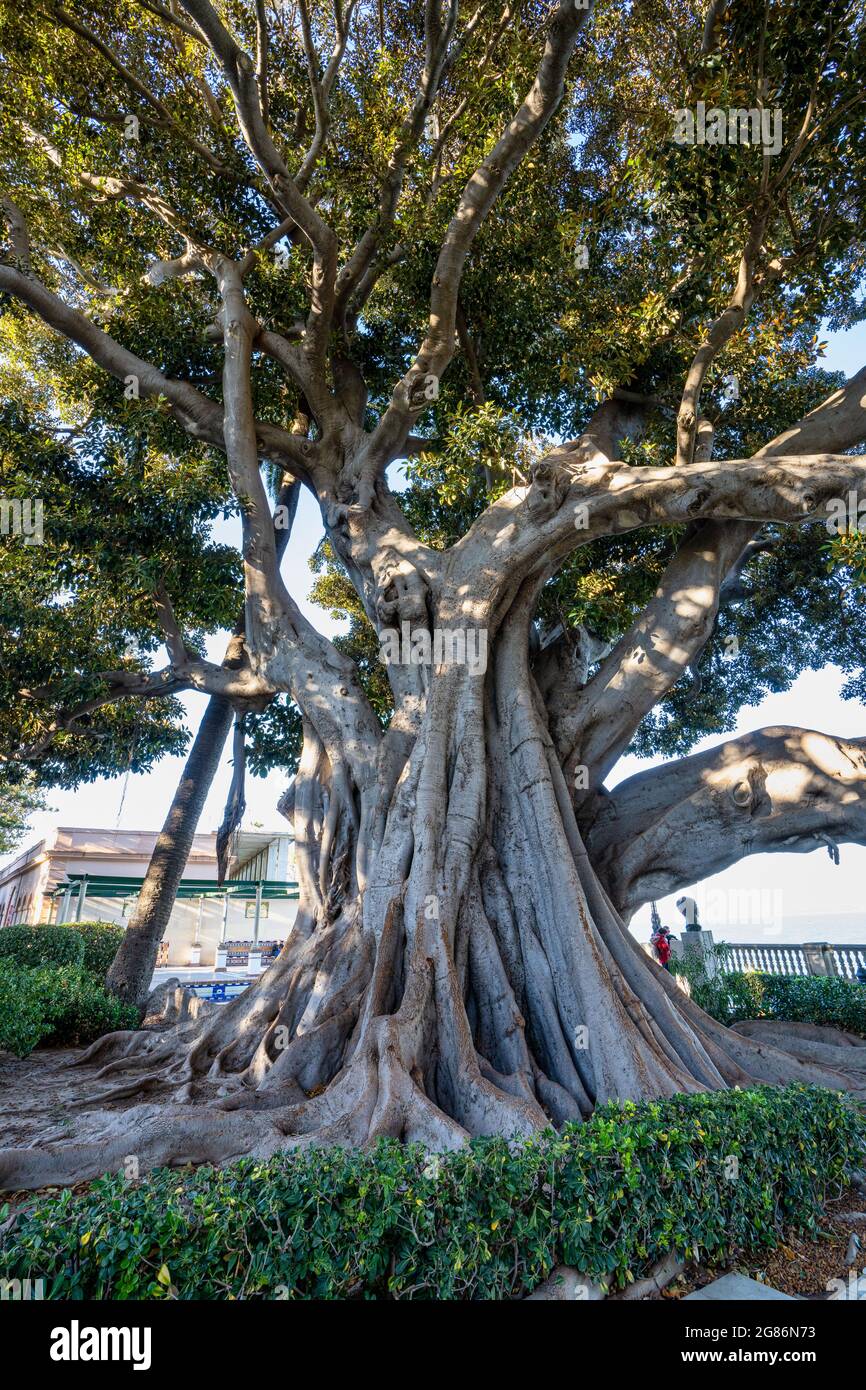 Alameda de Apodaca, a public park and an example of the eclectic style ...