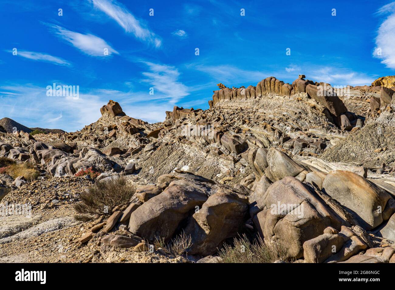 Dragon Tail, Colas de Dragon in Tabernas Desert in Almeria, Spain ...