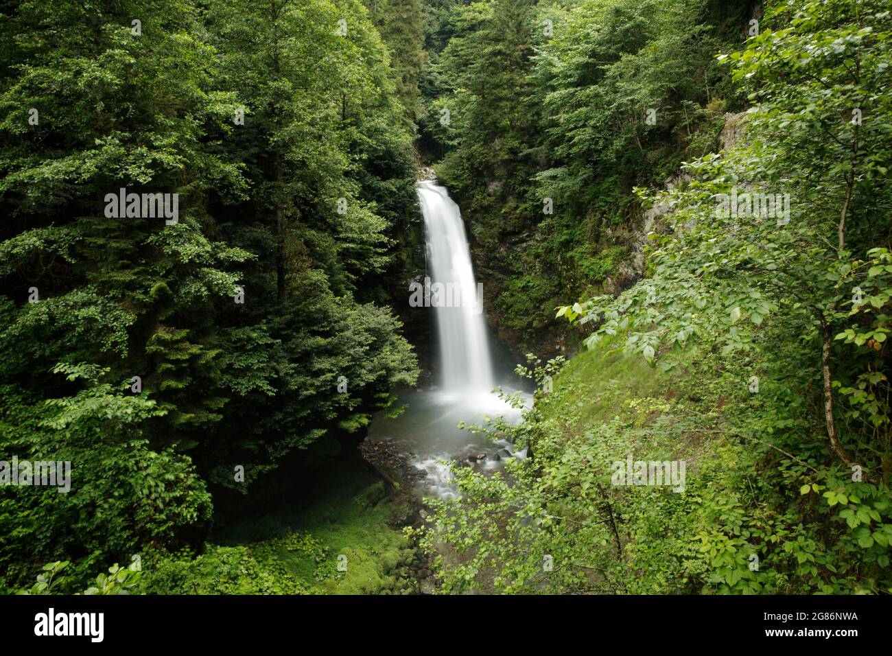 Consent palovit hi-res stock photography and images - Alamy
