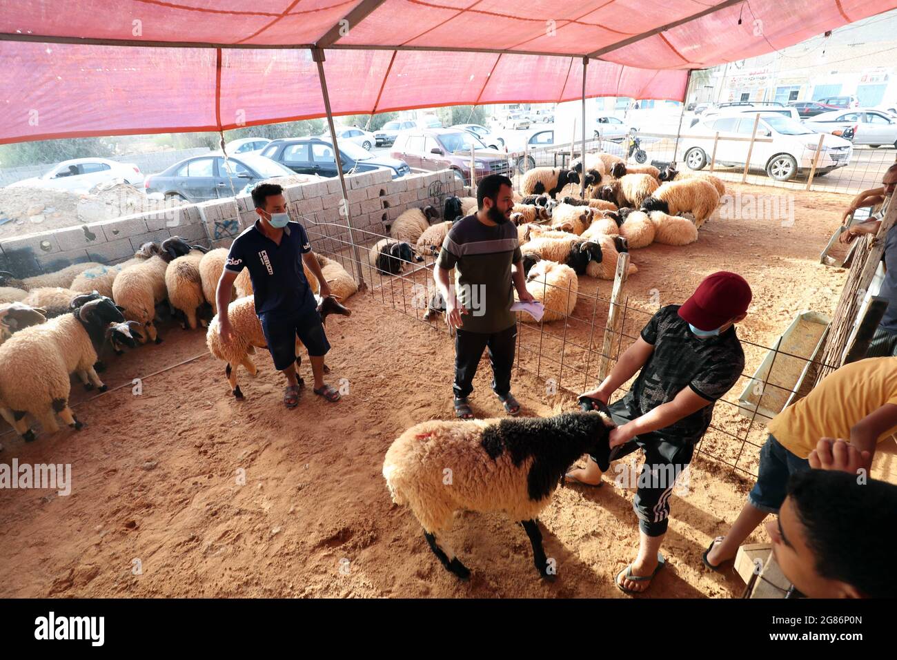 Man sheep eid al adha festival market hi-res stock photography and ...