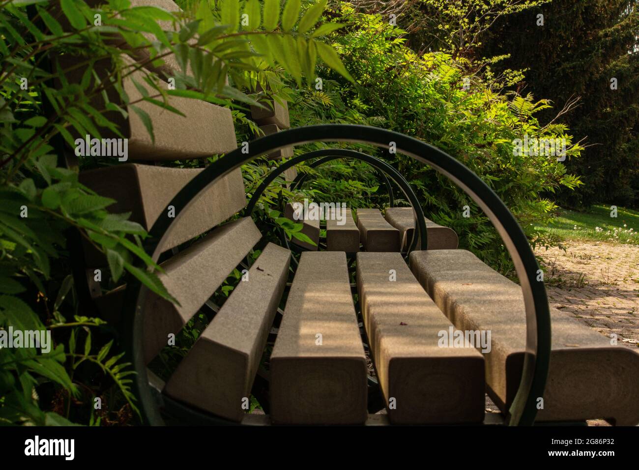 Scenic Park Bench With Foliage Stock Photo - Alamy