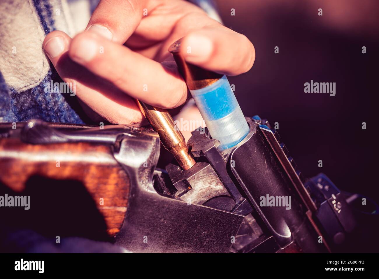 Man is charging a hunting rifle. Hunter with shotgun gun on hunt ...