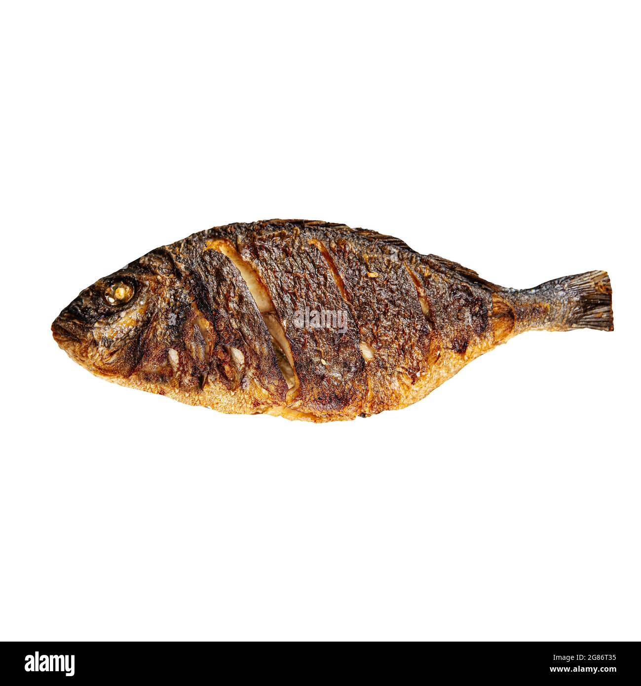 Isolated grilled dorada fish on the white Stock Photo - Alamy