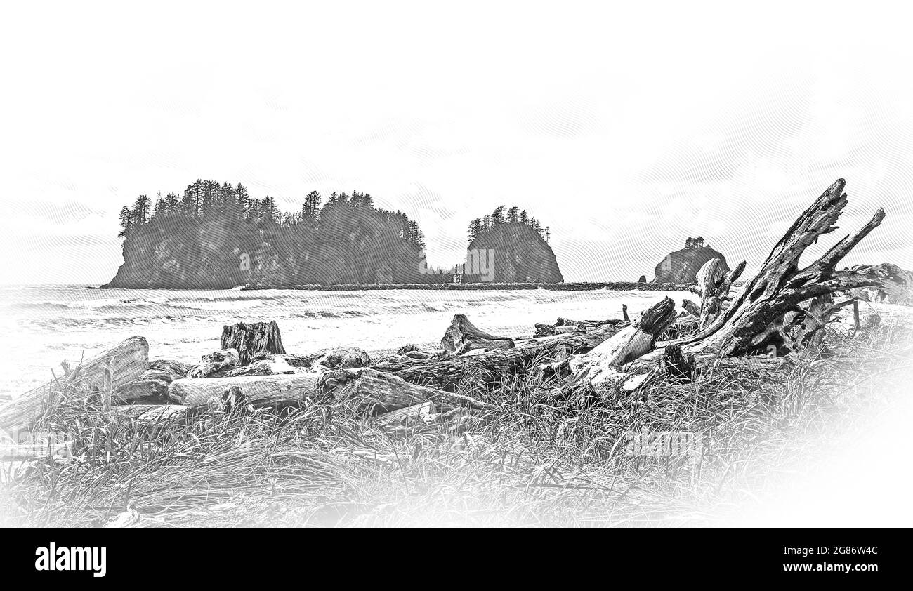 Amazing La Push Beach in the Quileute Indian reservation Stock Photo ...