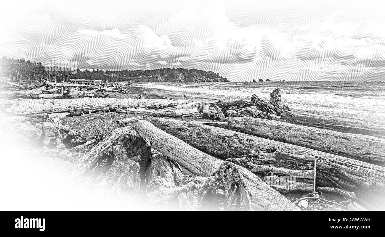 Amazing La Push Beach in the Quileute Indian reservation Stock Photo ...
