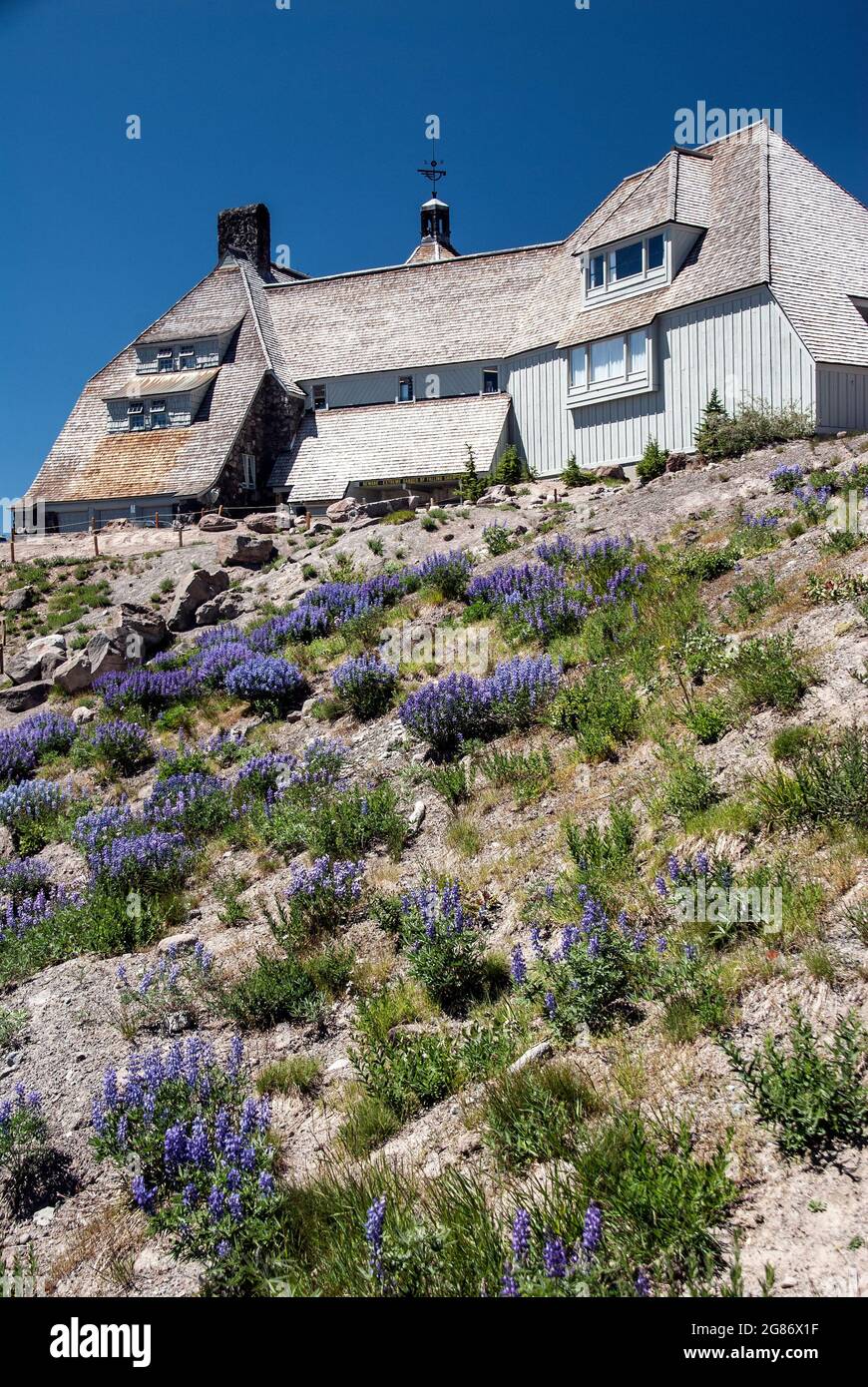 Paradise Inn ,Mt. Rainer National Park, Washington Stock Photo - Alamy