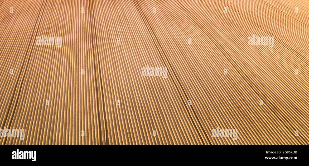 High-quality cultivated soil for planting agricultural crops Stock ...