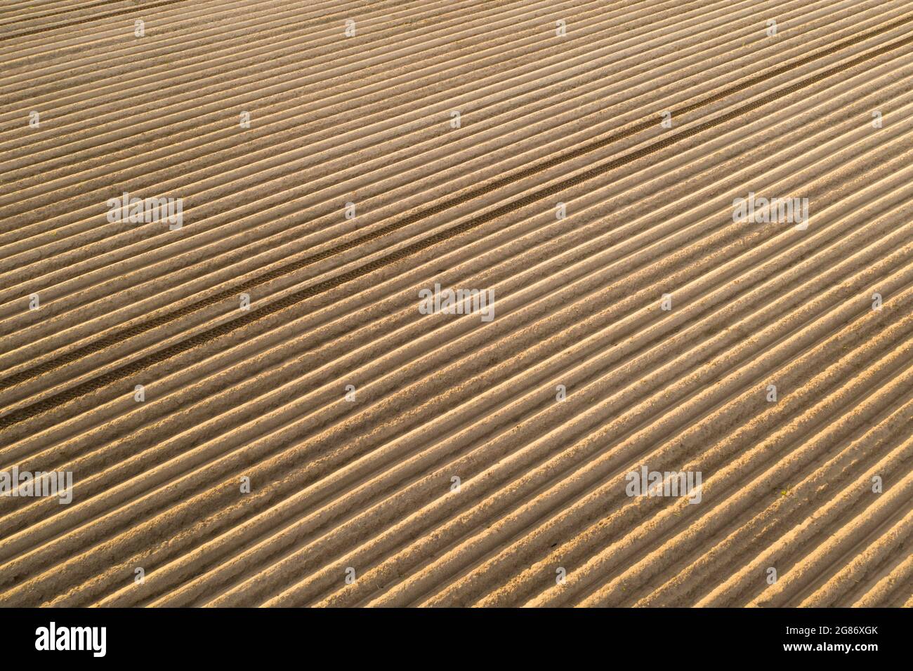 High-quality cultivated soil for planting agricultural crops Stock ...