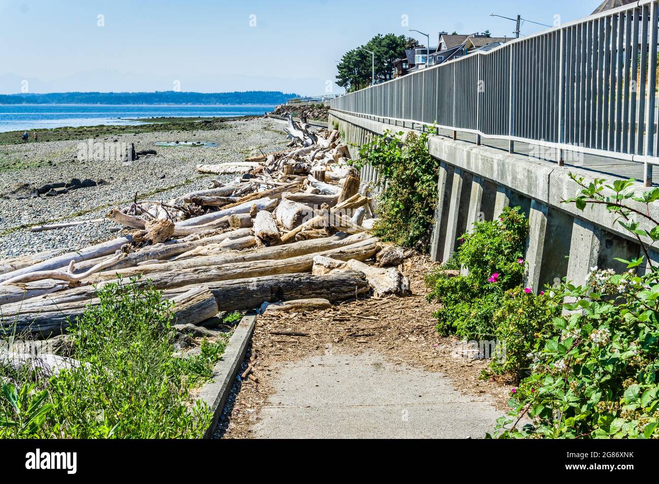 Driftwoood lies beneath a cement wall in West Seattle, Washington Stock ...
