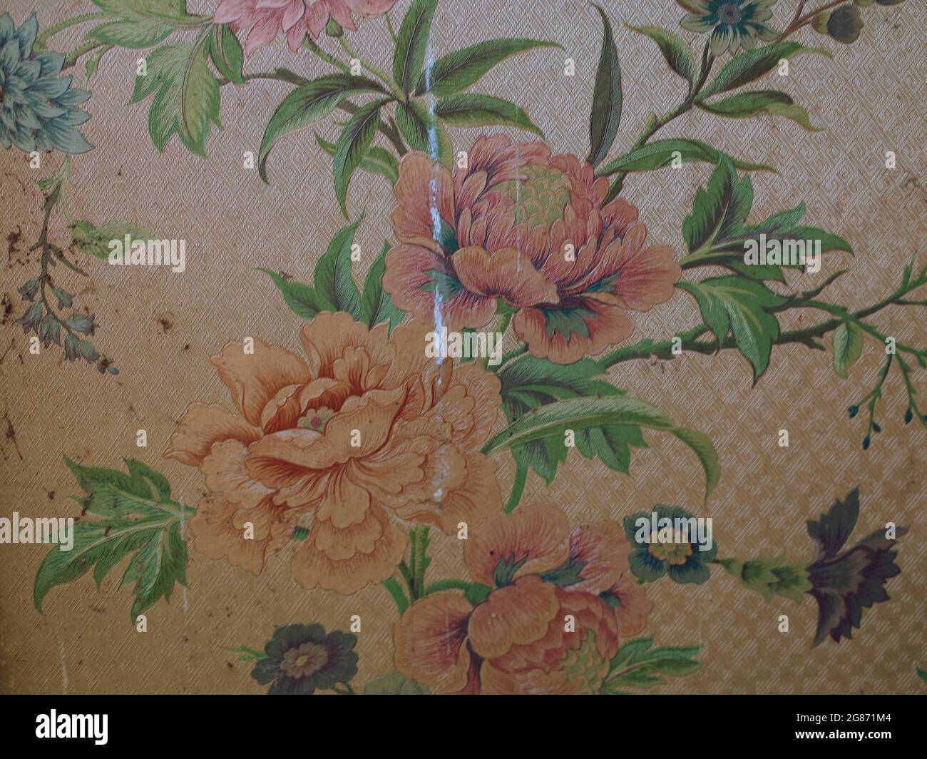 Old fashioned damaged dirty and yellowed wallpaper in a ruin. Pink ...