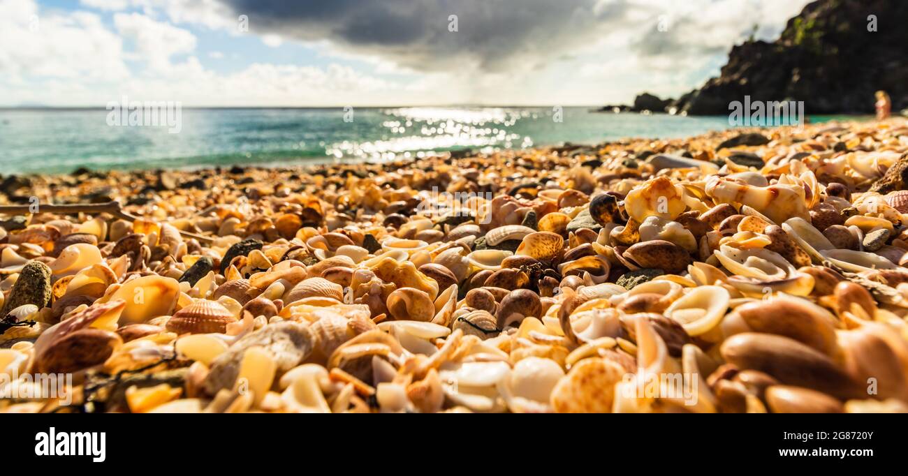 St. Barths Island, Caribbean. The famous Shell Beach, in Saint Bart’s ...