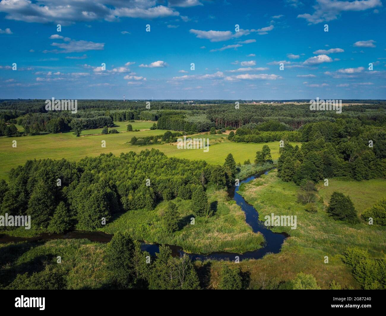 The small Grabia River in central Poland Stock Photo - Alamy