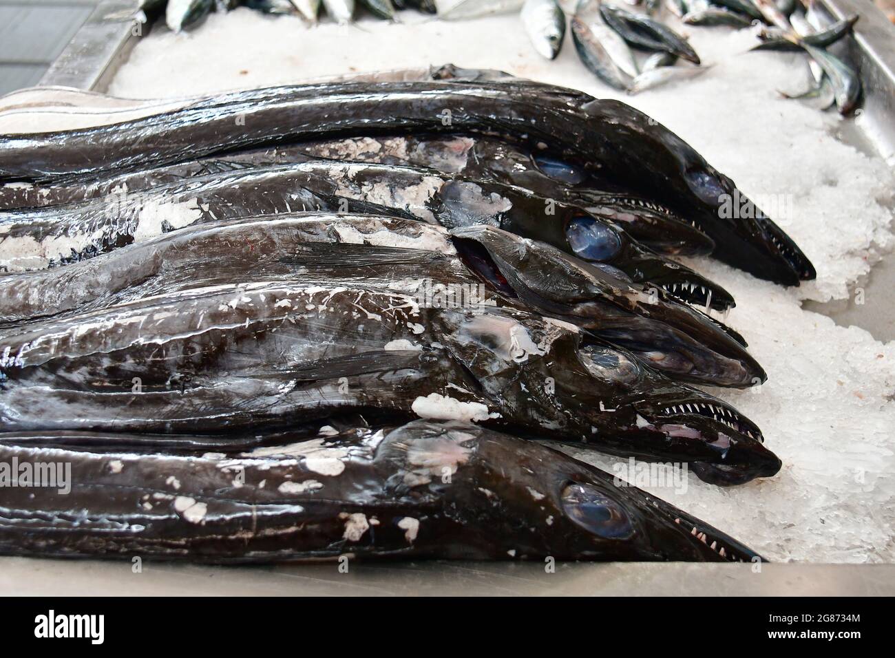 Black scabbardfish hi-res stock photography and images - Alamy