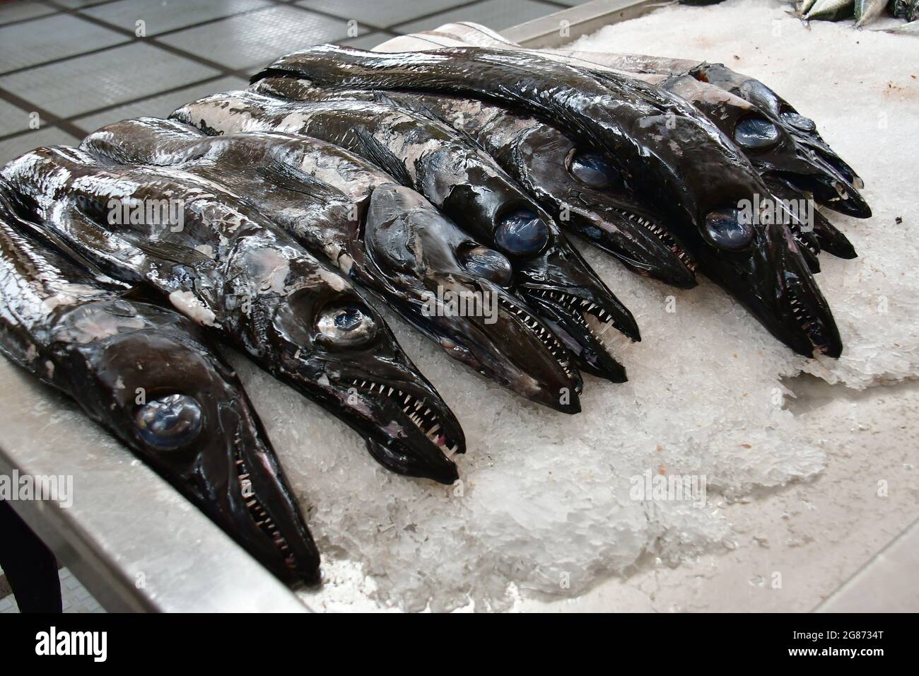 Black scabbardfish hi-res stock photography and images - Alamy