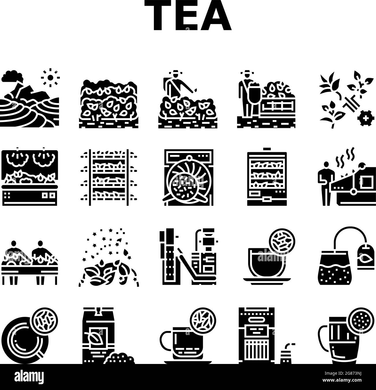 Tea Drink Production Collection Icons Set Vector Stock Vector Image ...