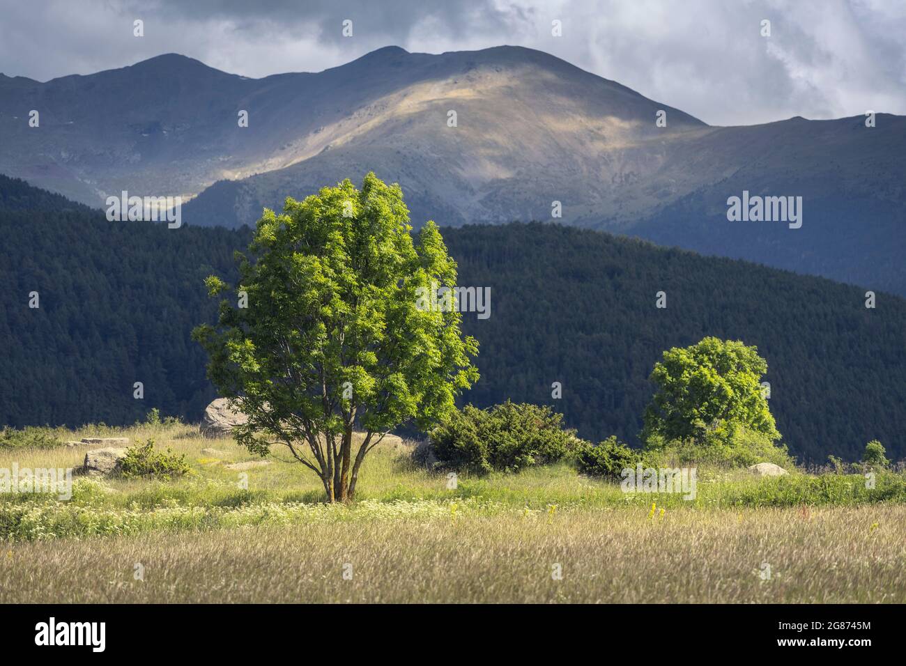 Agricultural landscape in pyrenees hi-res stock photography and images ...