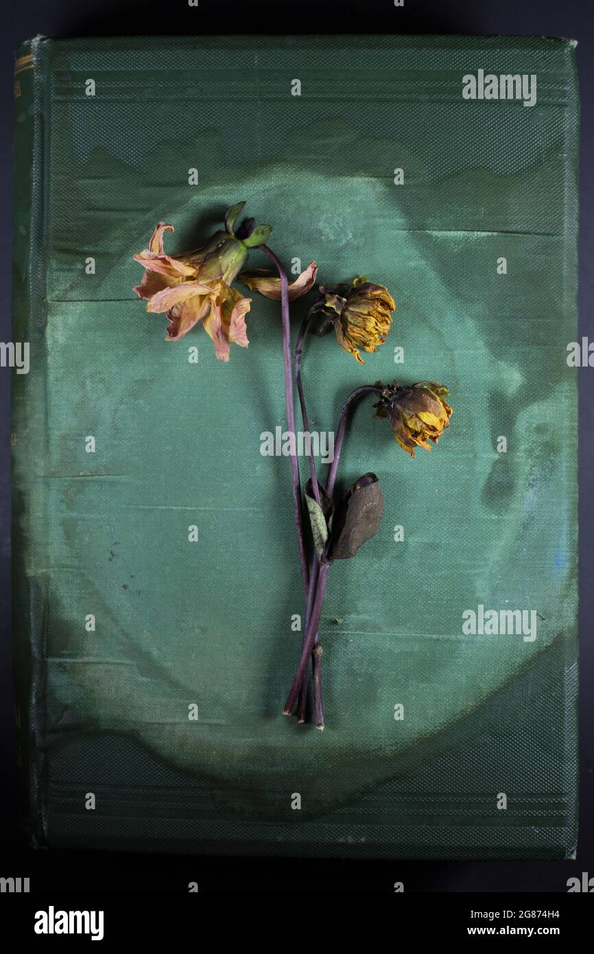 Damaged book cover hi-res stock photography and images - Alamy