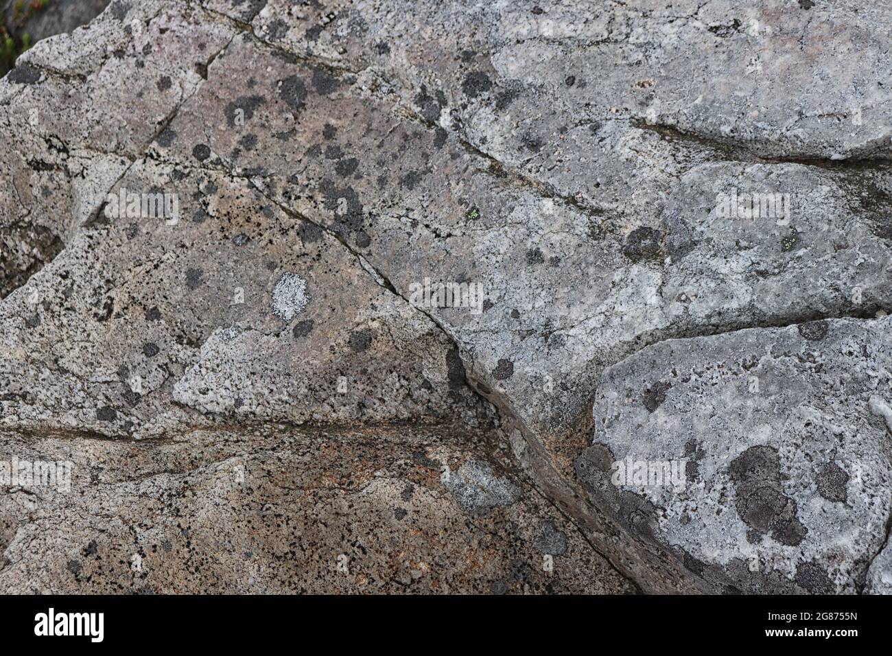 Rock texture in close up Stock Photo - Alamy