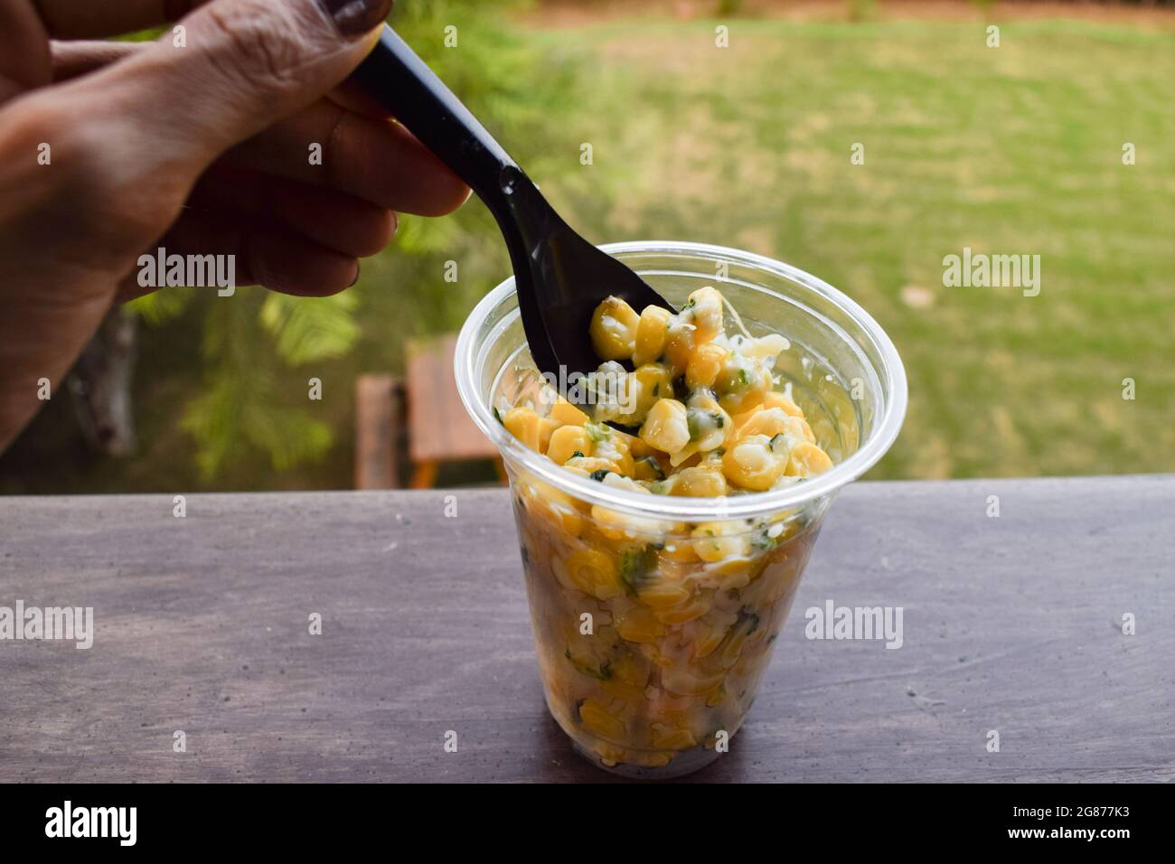 Delicious Sweetcorn cheese chilly butter street style food item served ...