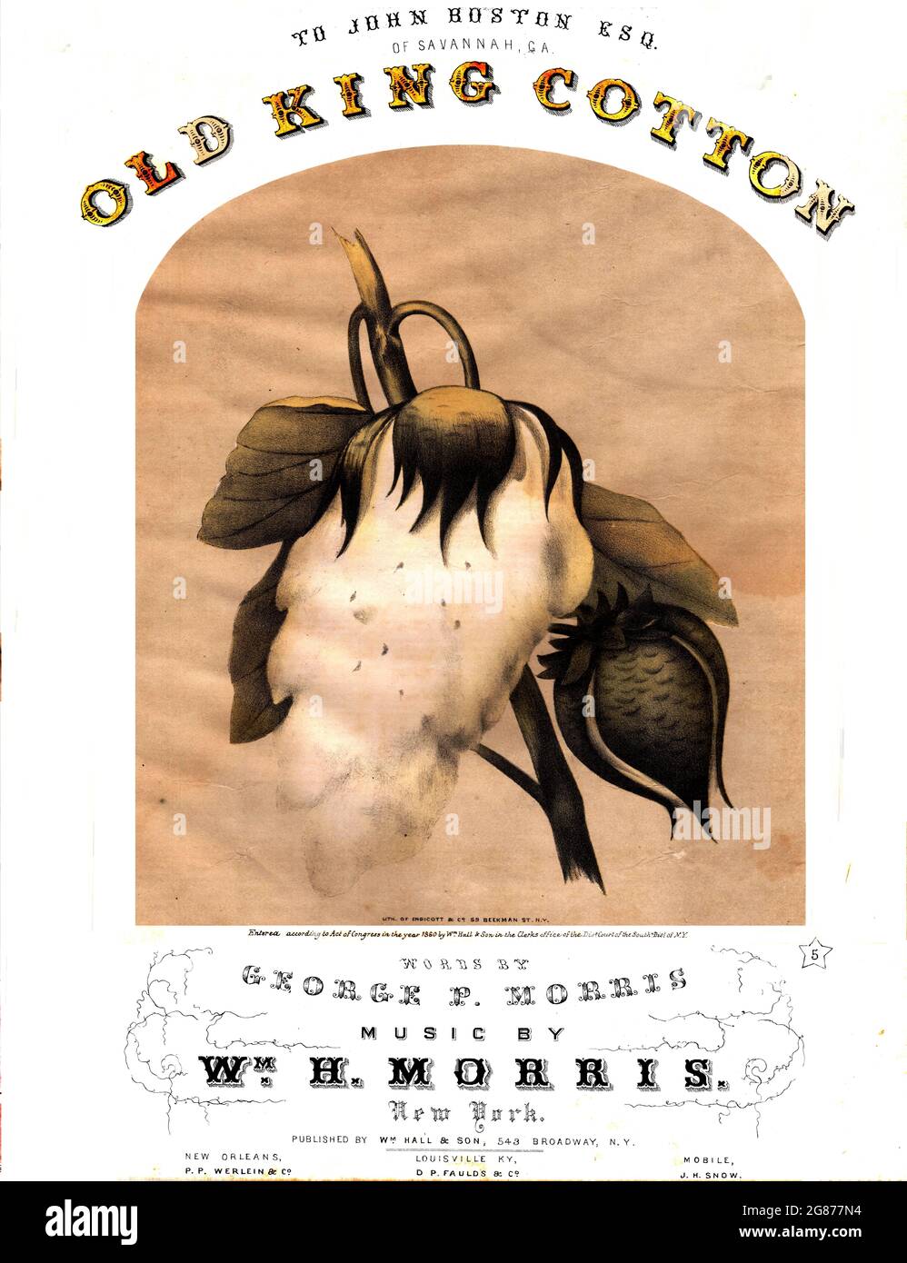 Old King Cotton, 1860 lithographed Sheet Music with a lithograph of a ...