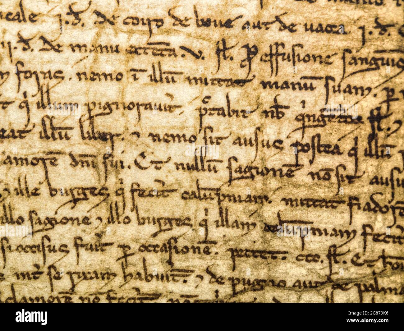 Medieval book handwriting hi-res stock photography and images - Alamy