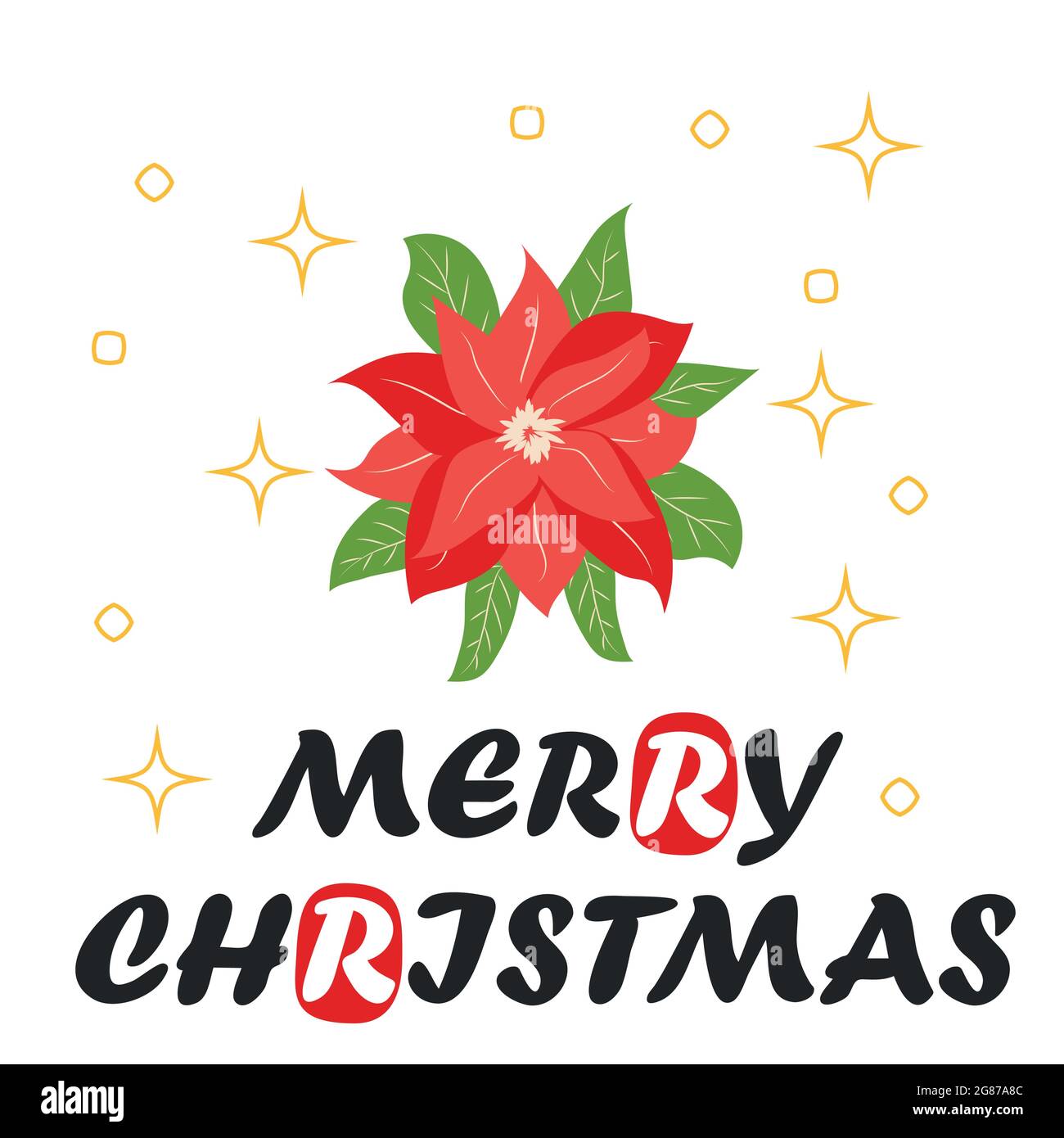 Traditional Christmas poinsettia flower with green leaves and red ...