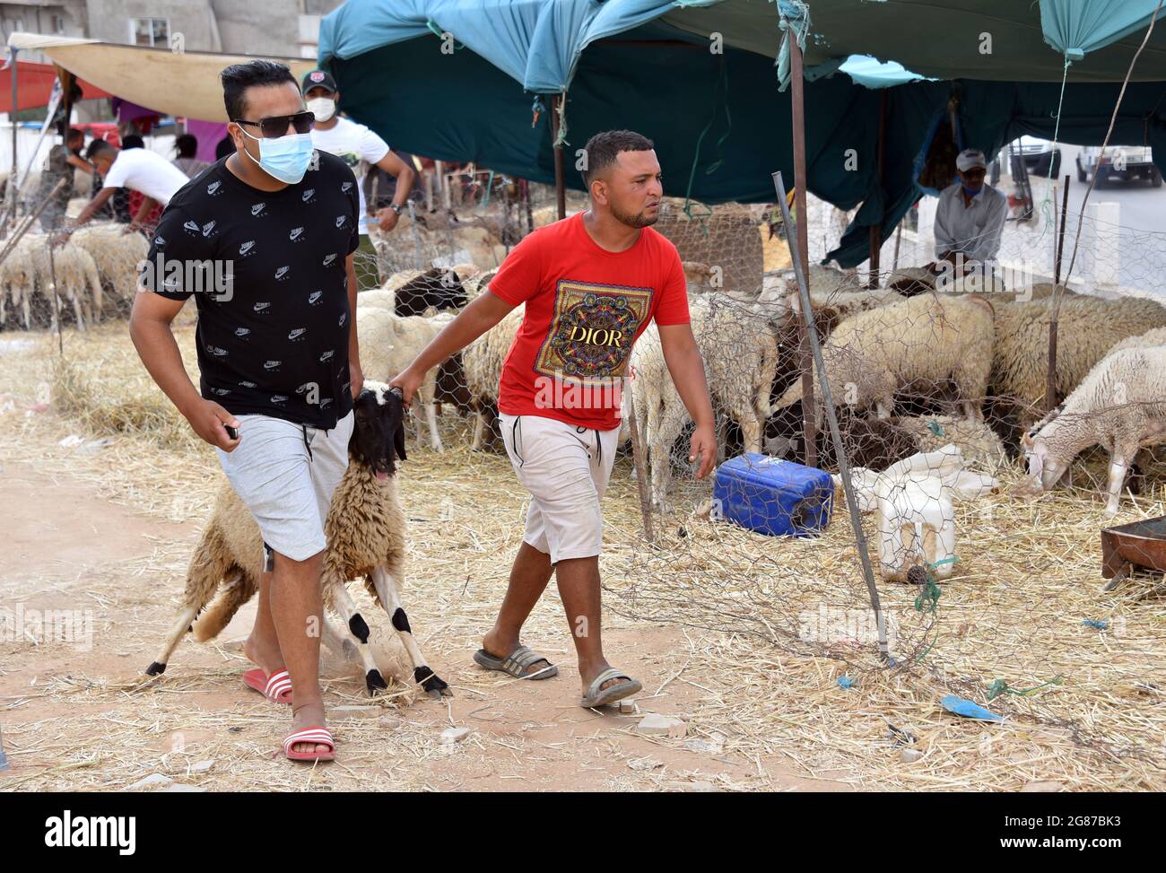 Tunis, Tunisia. 17th July, 2021. Tunisians buy a sacrificial animal at ...