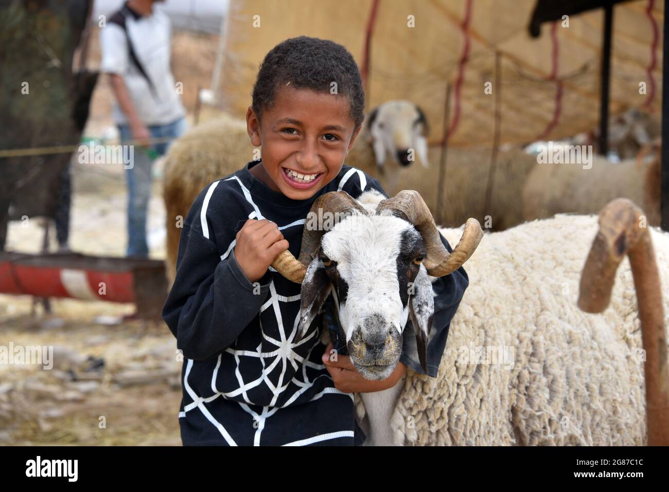Tunis, Tunisia. 17th July, 2021. A Tunisian boy plays with a sheep at a ...