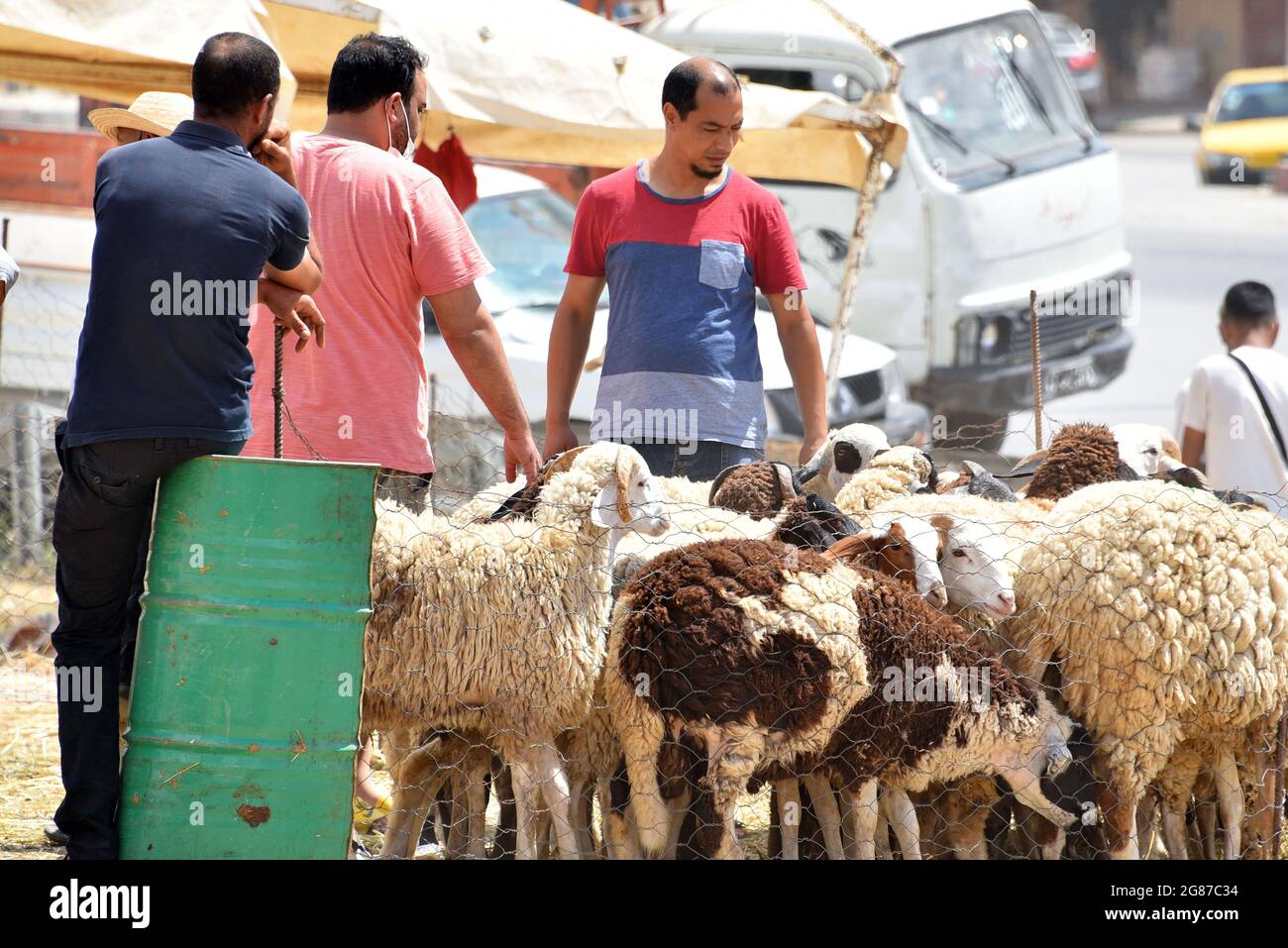 Tunis, Tunisia. 17th July, 2021. Tunisians buy their sacrificial ...