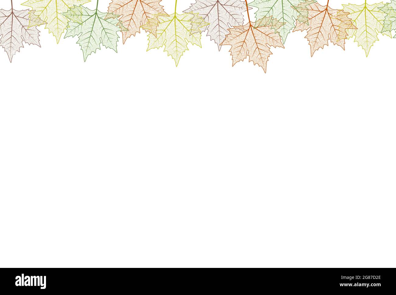 Maple tree leaf frame. Vector illustration. Autumn colors graphic card ...