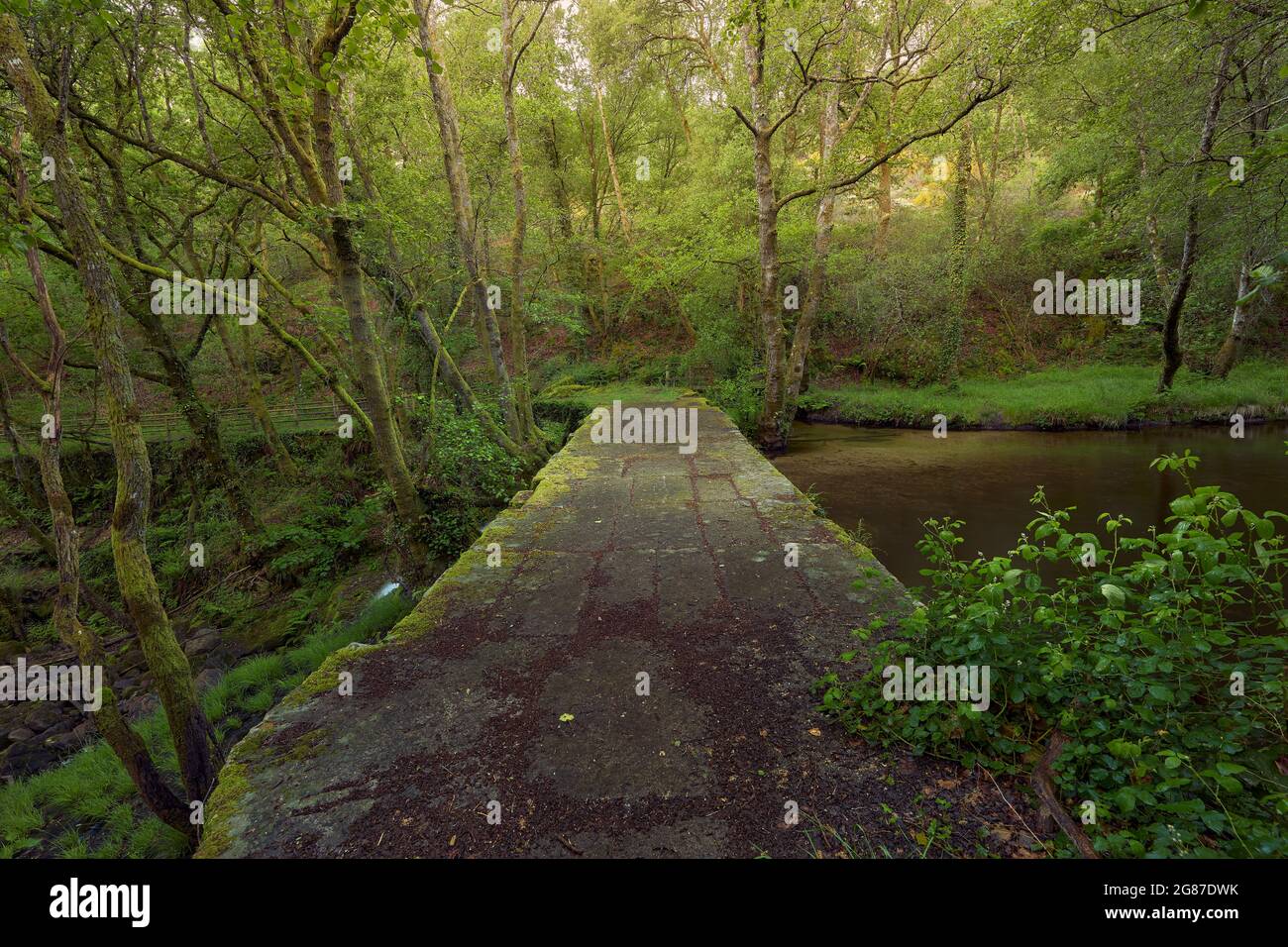 Old stone bridge over the Arenteiro river, in the region of Galicia ...