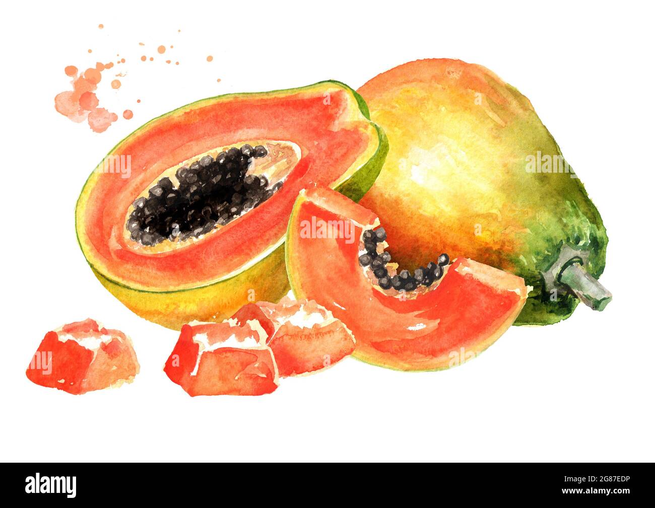 Whole, half and sliced sweet ripe papaya fruit. Watercolor hand drawn ...