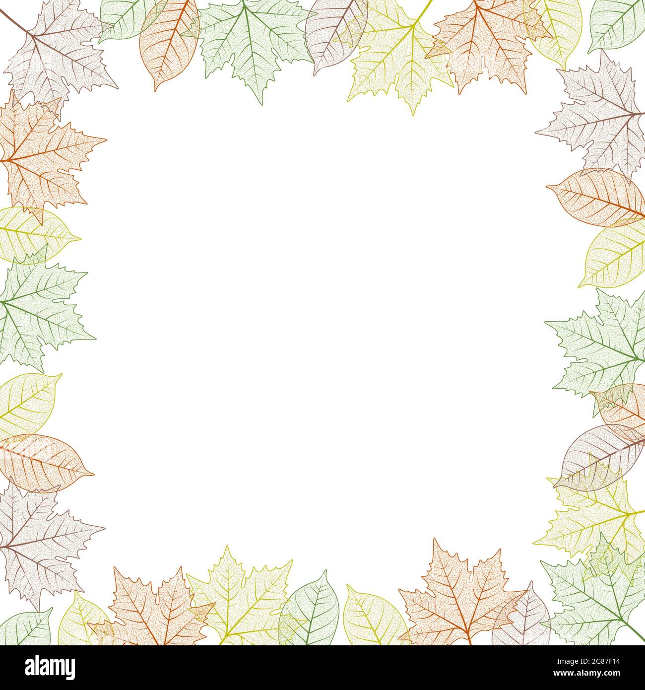 Maple tree leaf frame. Vector illustration. Autumn colors graphic card ...
