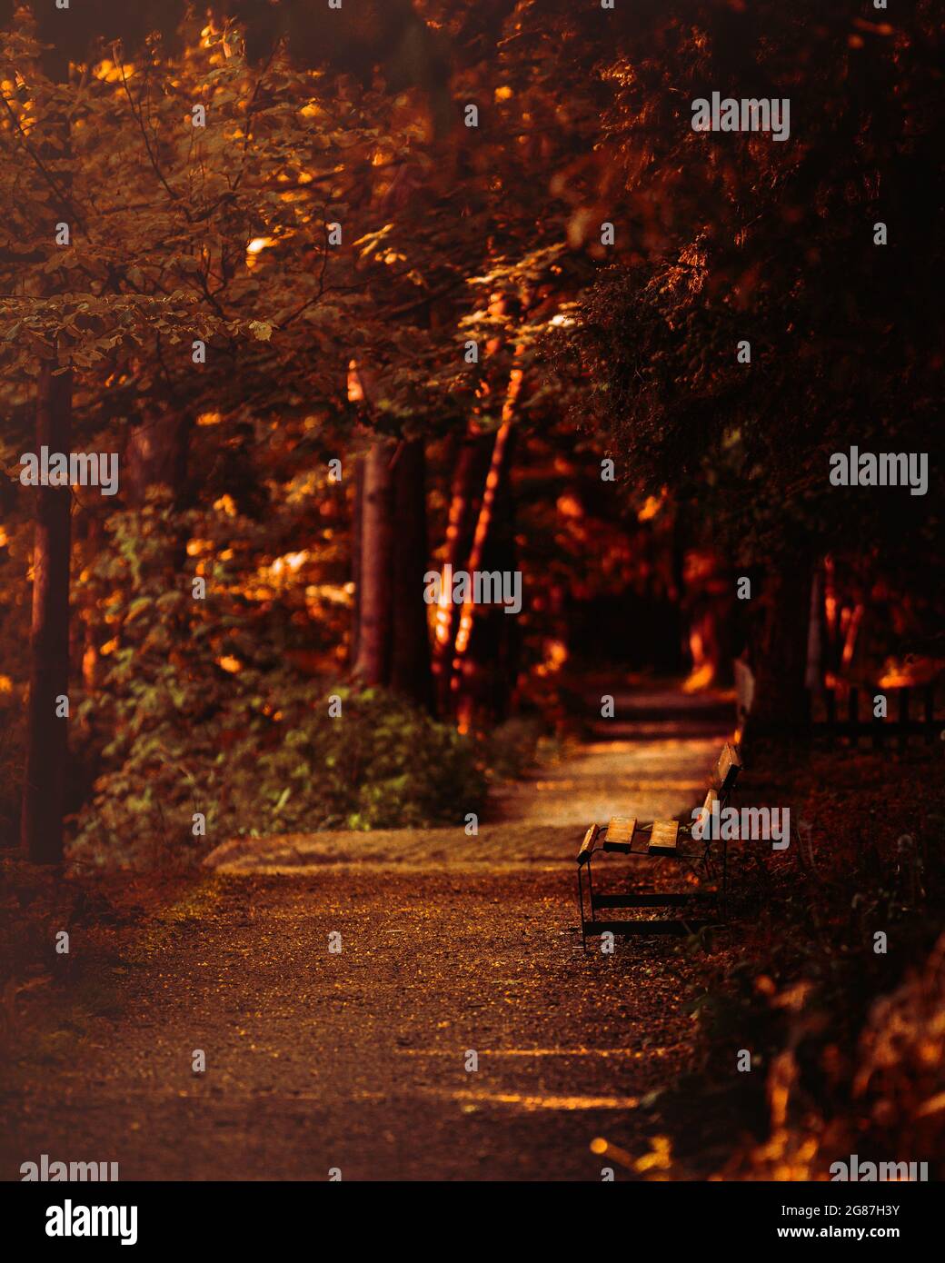 Vertical shot park bench hi-res stock photography and images - Alamy