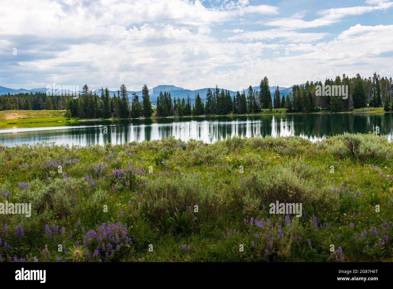 Views of Yellowstone lake Along Storm Point Nature Trail Stock Photo ...